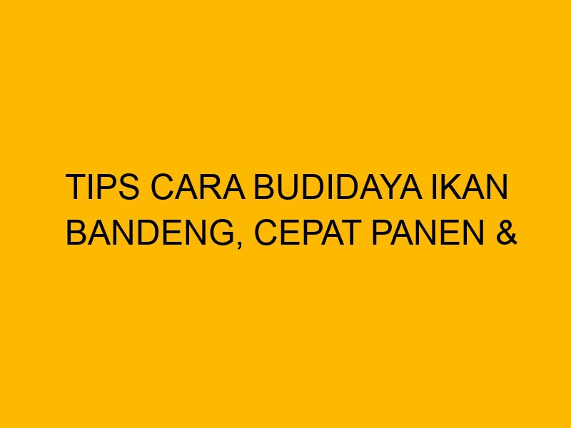 Tips Cara Budidaya Ikan Bandeng, Cepat Panen & Untung Besar!