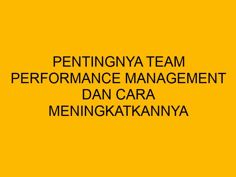 Pentingnya Team Performance Management dan Cara Meningkatkannya